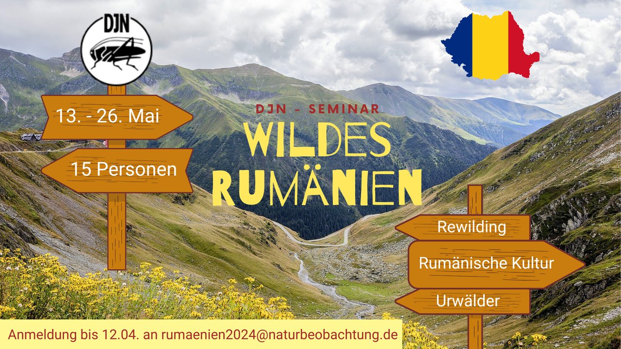JANUN – Rumänien