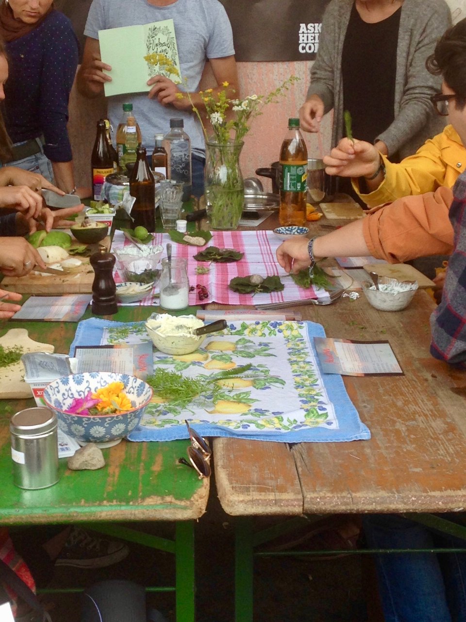 JANUN – Wildkräuter in der Stadt - essbar?